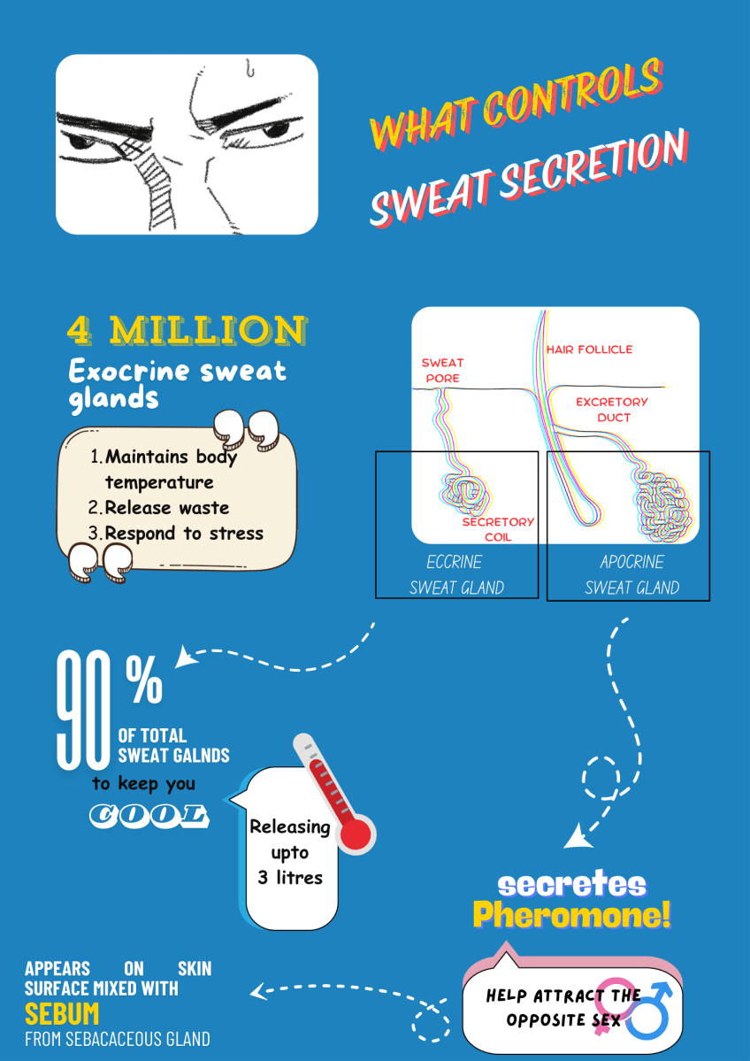 What controls SWEAT secretion – grewal